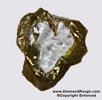 Diamond Rough .com - Micro Express Rough Diamond
